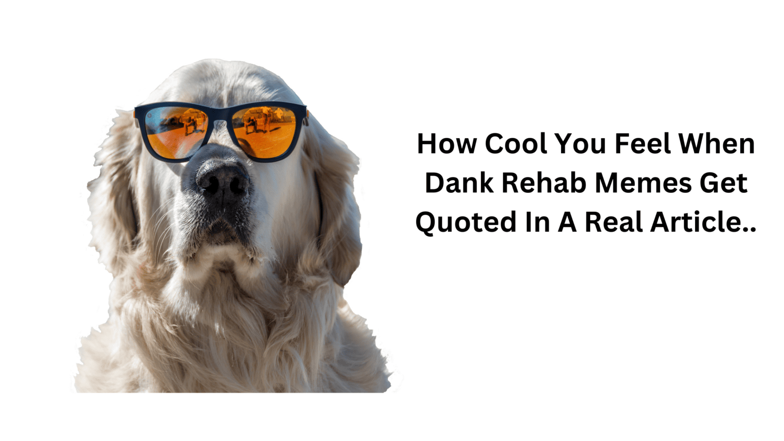 20 Best Recovery Memes: Sobriety, Laughter And Jokes