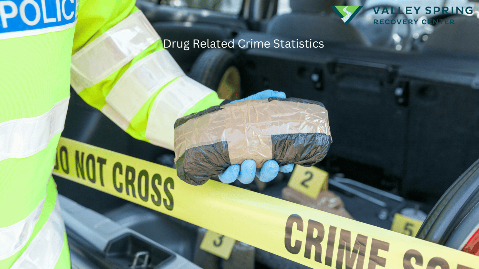 Drug-related Crime Statistics: Addiction Crime And Prison