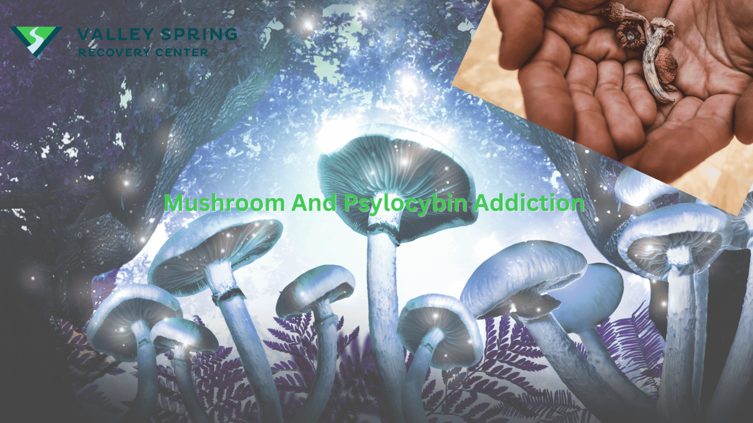 Psilocybin Mushrooms: Types, Symptoms, Effects And Treatment
