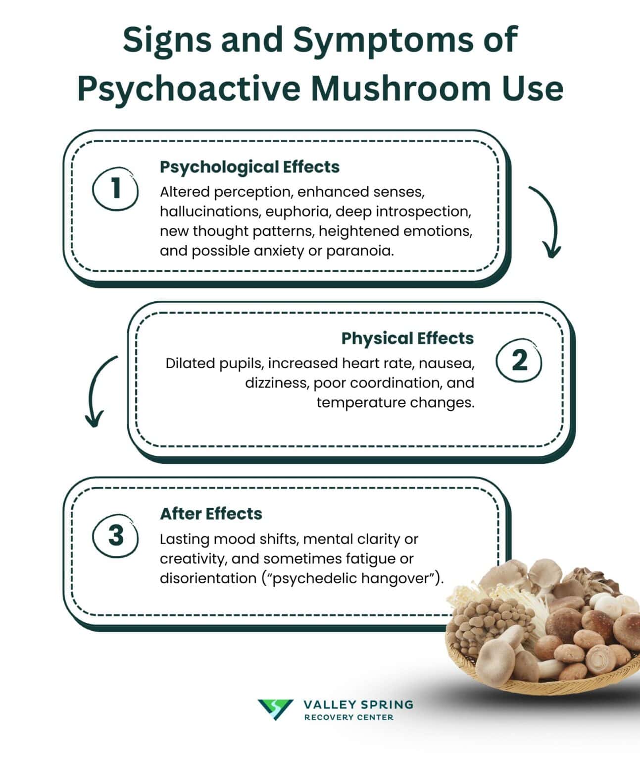 Psilocybin Mushrooms: Types, Symptoms, Effects And Treatment