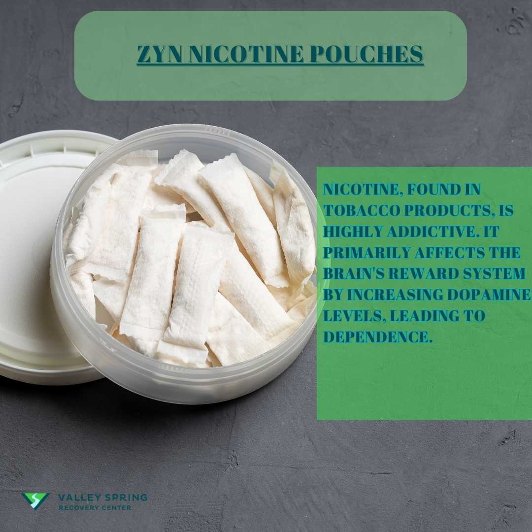 What Are Zyns And Other Nicotine Pouches: Effects & Benefits