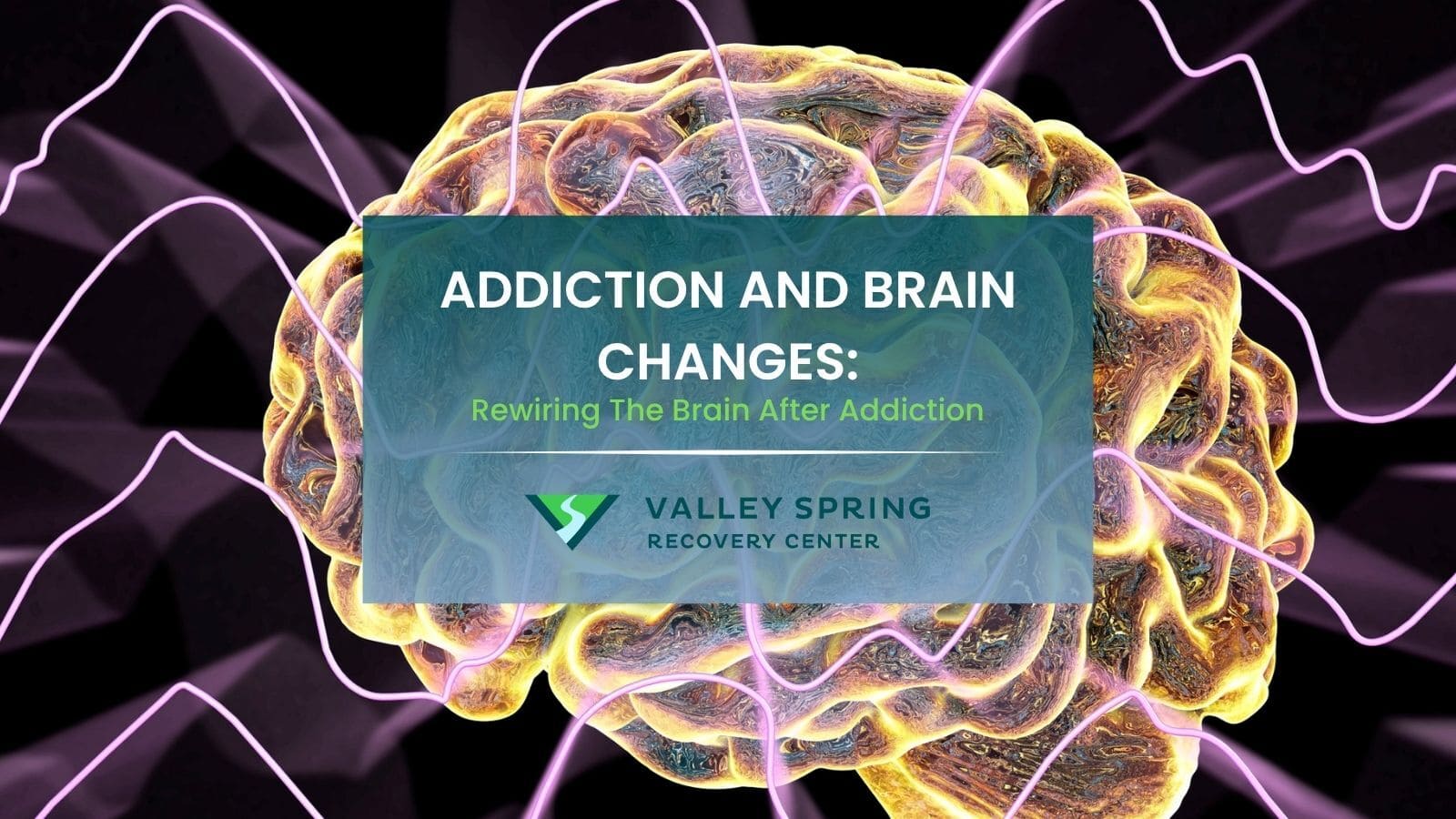 Addiction And Brain Changes: Rewiring The Brain After Addiction