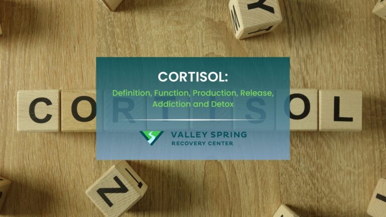 How Does Addiction Affect The Brain: 14 Nuerotransmitters