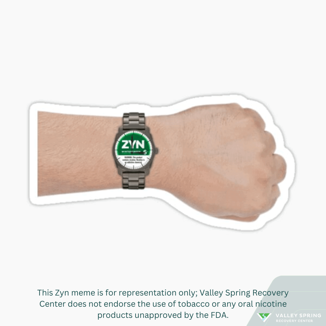 What Are Zyns And Other Nicotine Pouches: Effects & Benefits