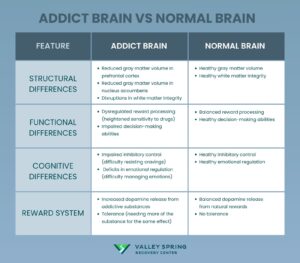 Addict Brain Vs Normal Brain: Neurological Impact Of Addiction