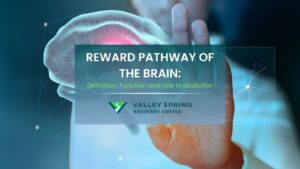 Reward Pathway Of The Brain: Definition, Function, And Role In Addiction