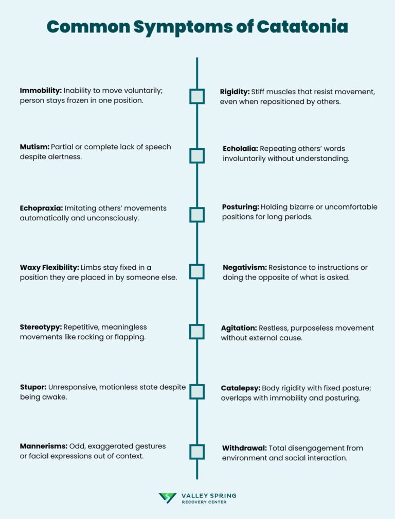 Catatonia: What It Is, Warning Signs, Causes, And Treatment Approaches